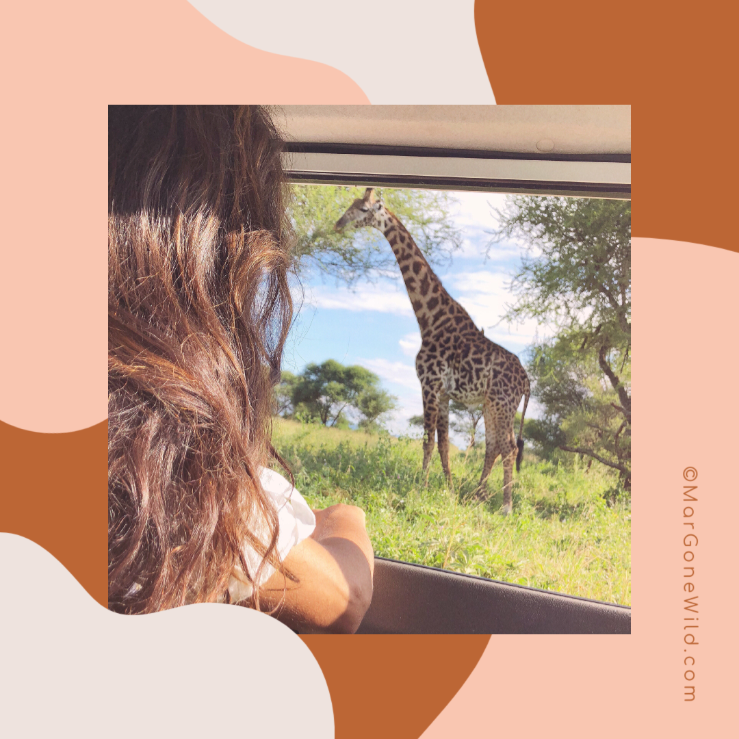 5 Beginner-Friendly Tips For Capturing Better Photos & Videos on Safari ...